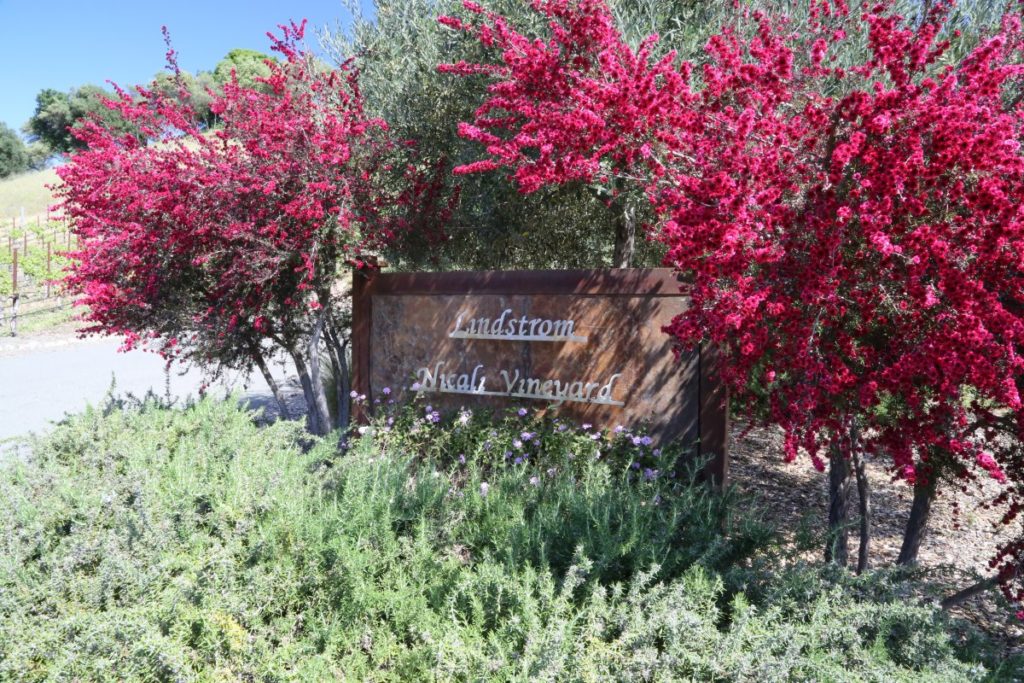 Lindstrom Wines - The Napa Wine Project