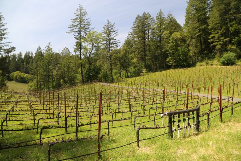 Lokoya Winery - The Napa Wine Project