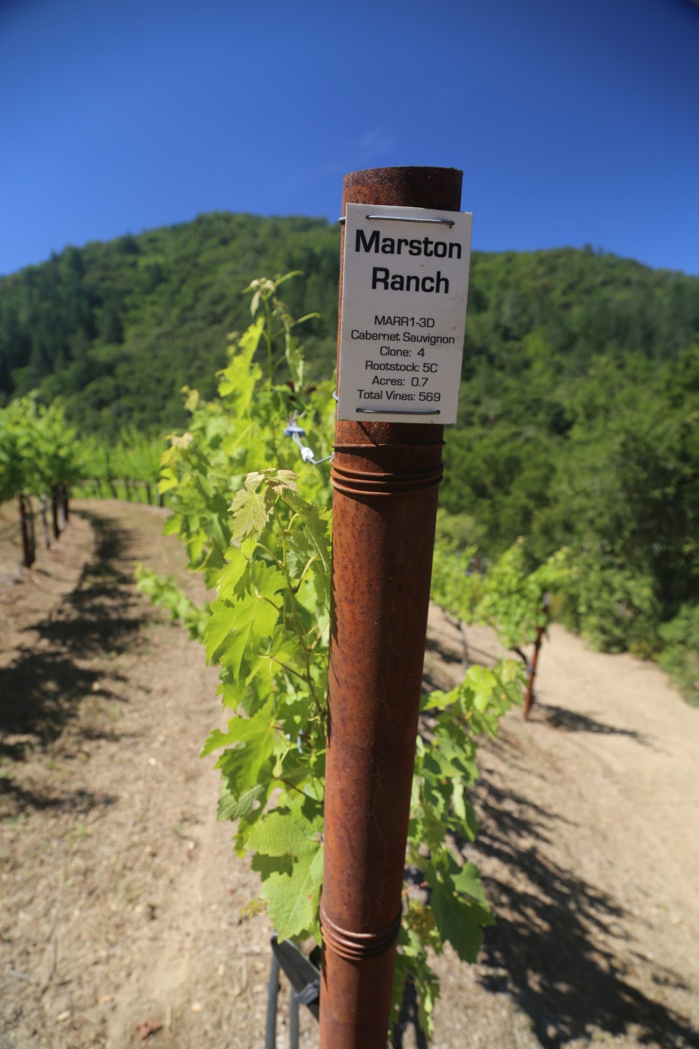 Marston Family Vineyard - The Napa Wine Project