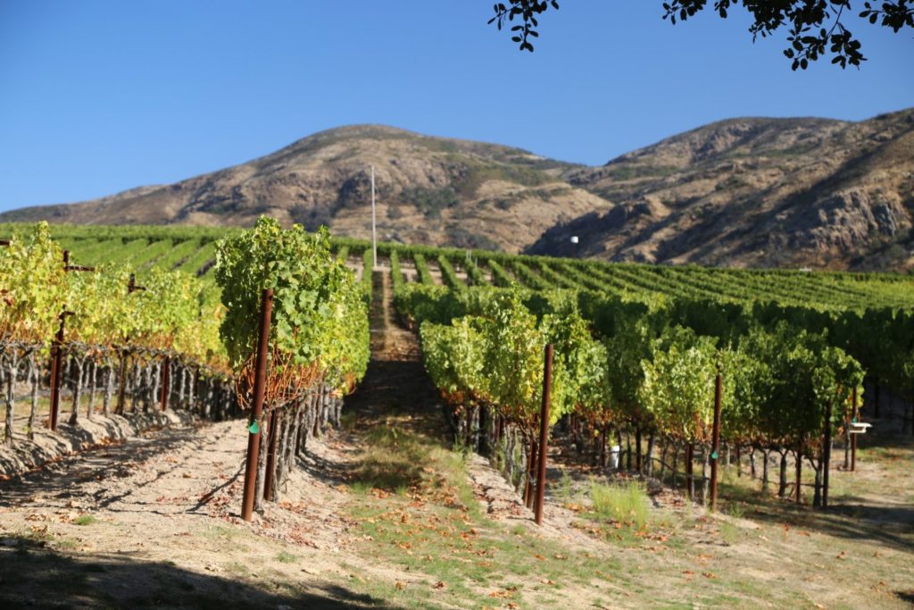 Meteor Vineyard - The Napa Wine Project