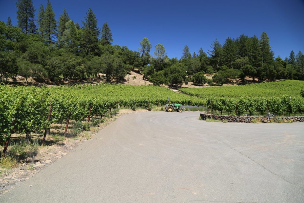 Neal Family Vineyards - The Napa Wine Project