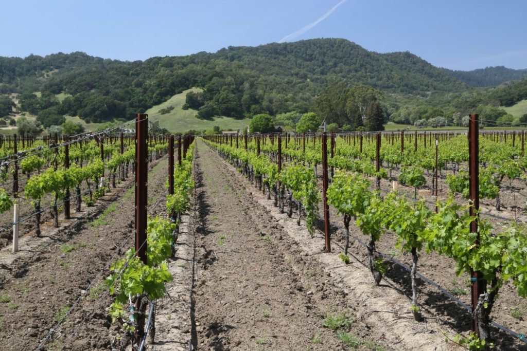 Nord Estate Wines - The Napa Wine Project