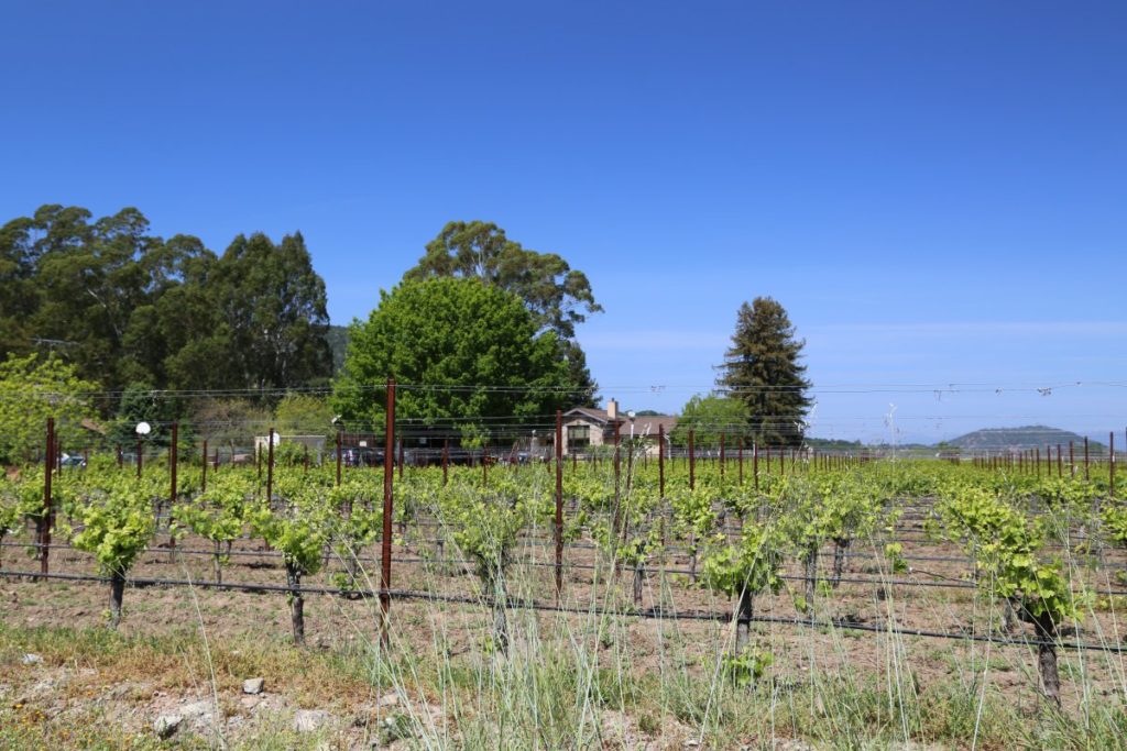 Nord Estate Wines - The Napa Wine Project