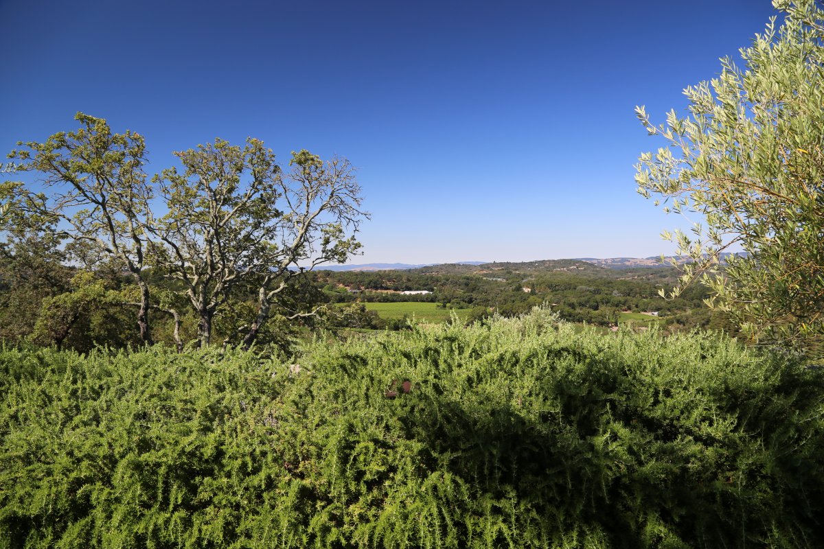 Palmaz Vineyards - The Napa Wine Project