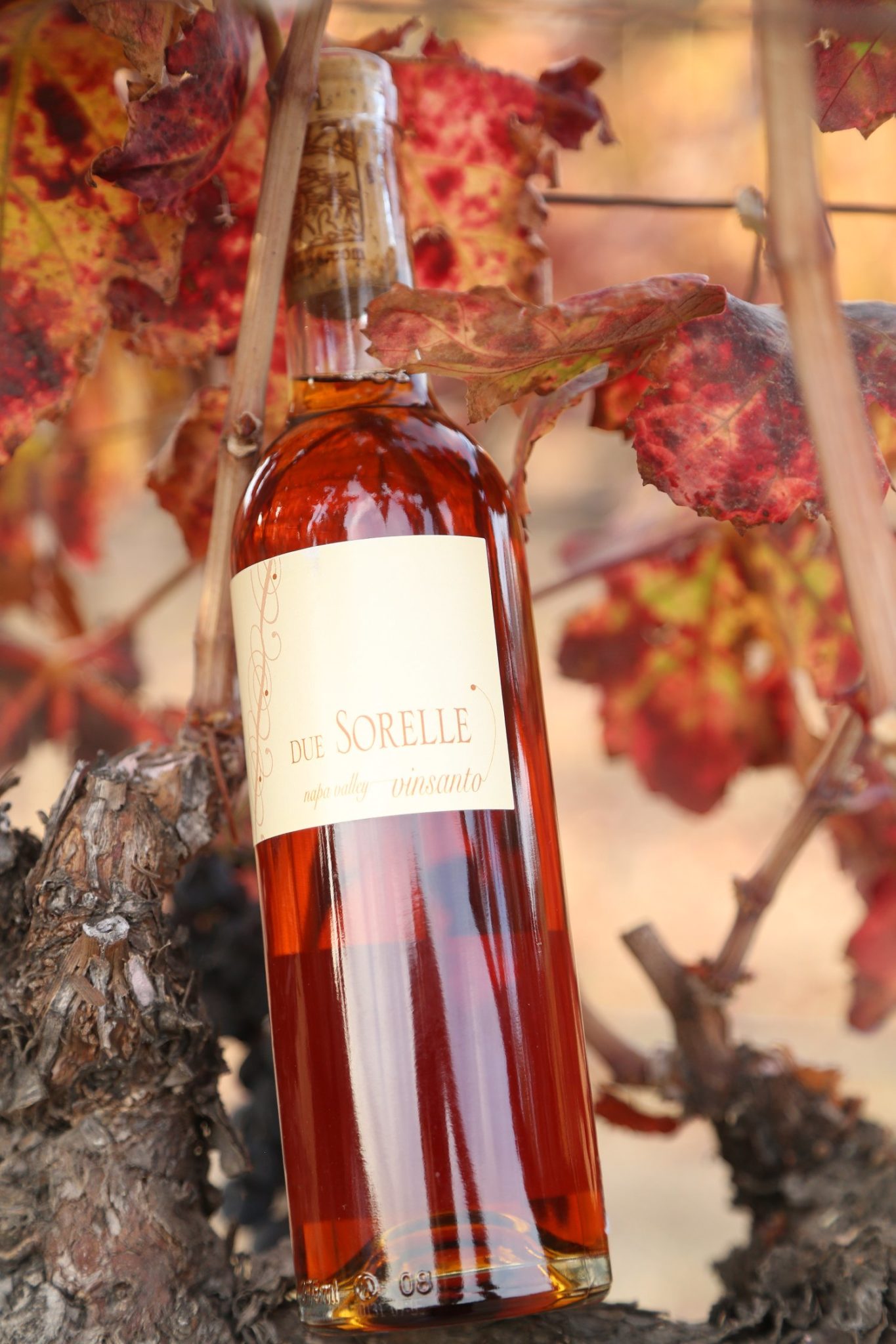 Pavi Wines - The Napa Wine Project