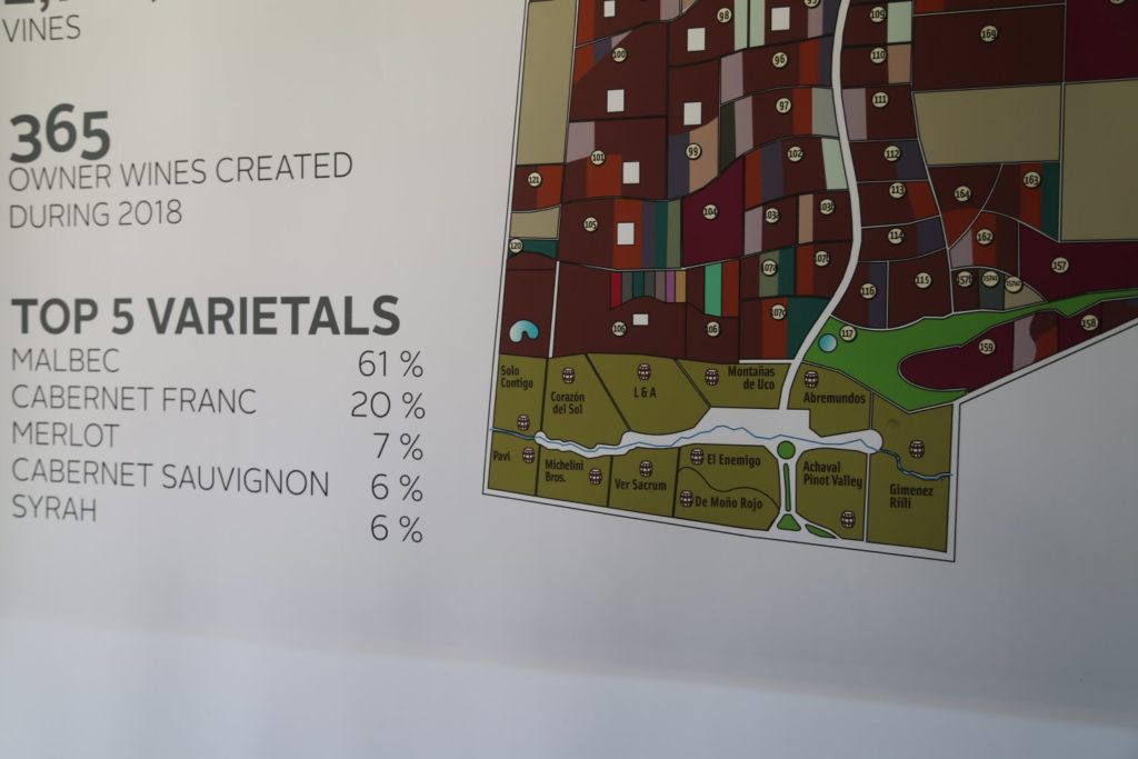 Pavi Wines - The Napa Wine Project