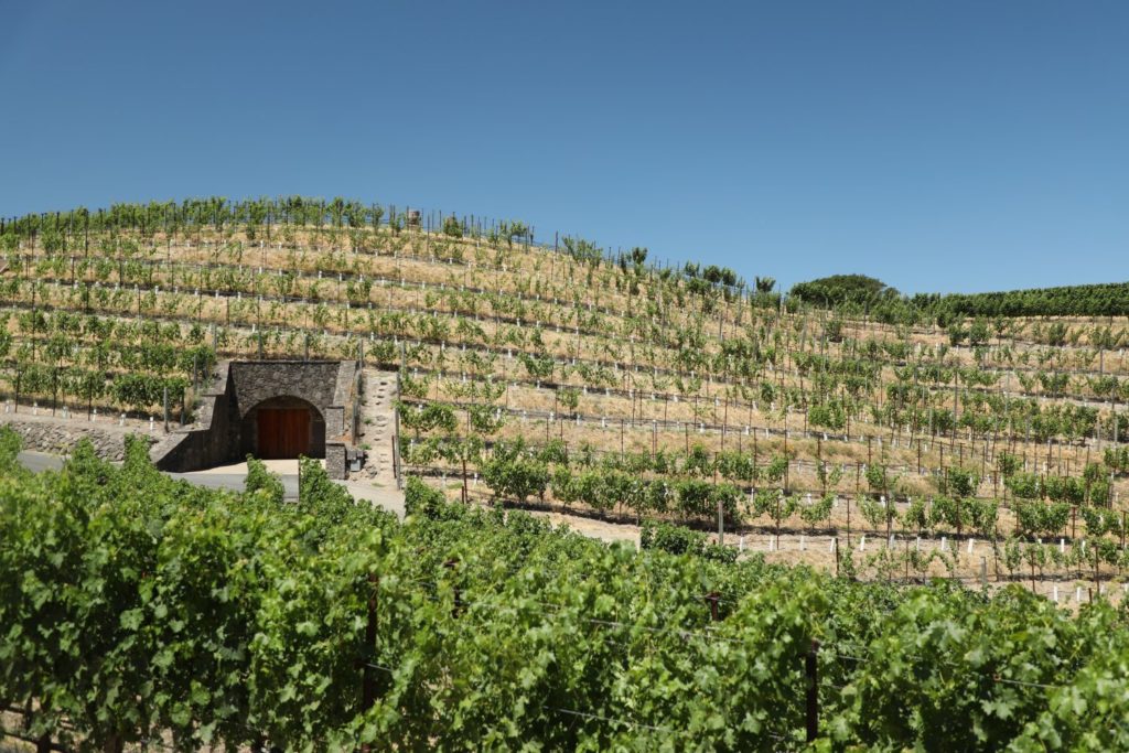 Porter Family Vineyards - The Napa Wine Project