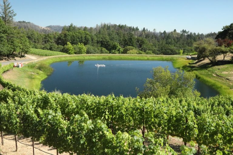 Pride Mountain Vineyards - The Napa Wine Project