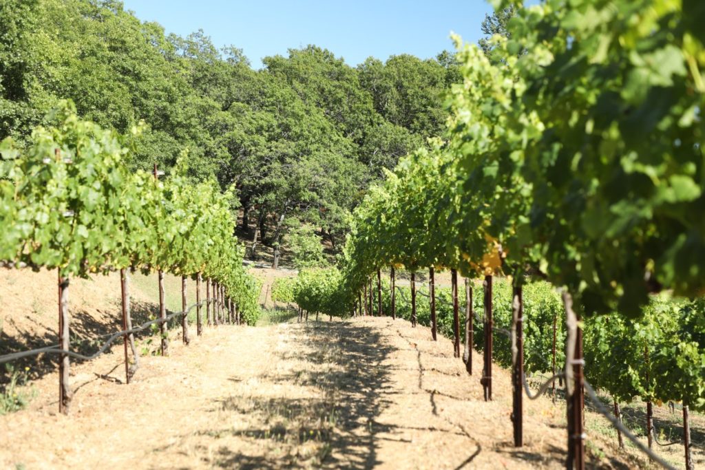 Pride Mountain Vineyards - The Napa Wine Project
