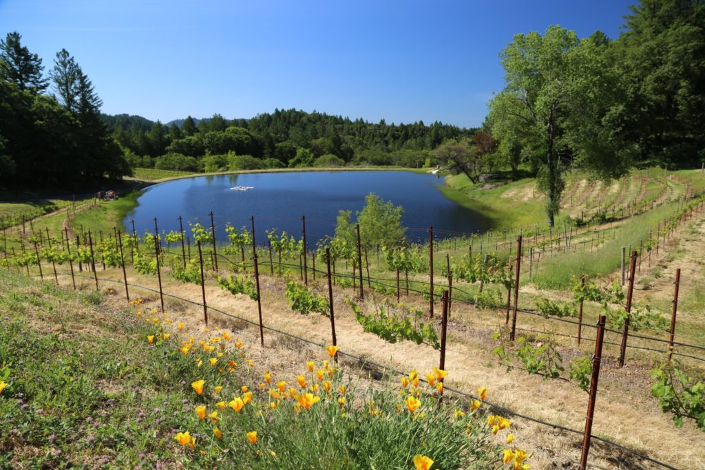 Pride Mountain Vineyards - The Napa Wine Project