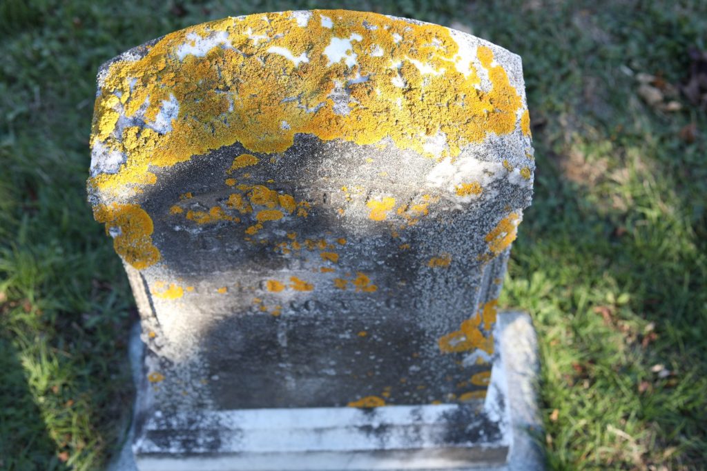 Quivet Cellars - The Napa Wine Project