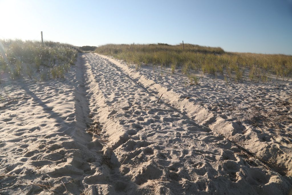 Quivet Cellars - The Napa Wine Project