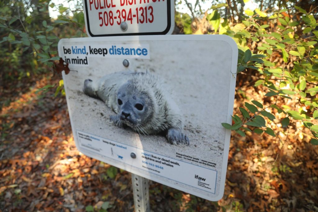 Quivet Cellars - The Napa Wine Project