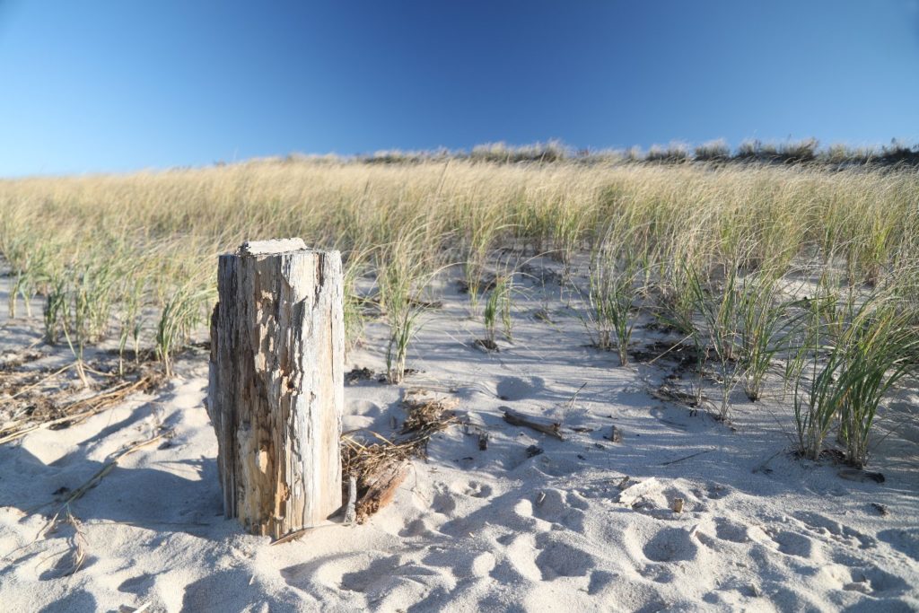 Quivet Cellars - The Napa Wine Project