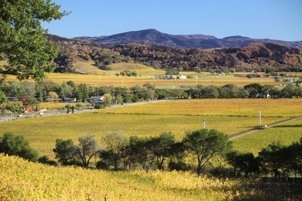 Realm Cellars - The Napa Wine Project