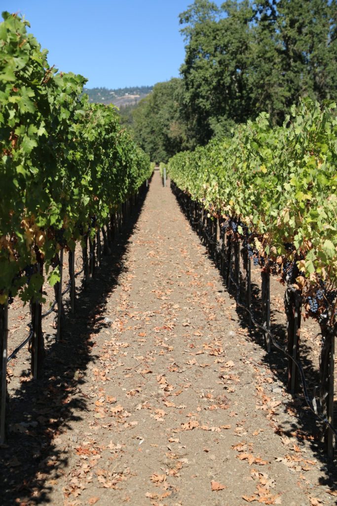 Revana Family Vineyards - The Napa Wine Project