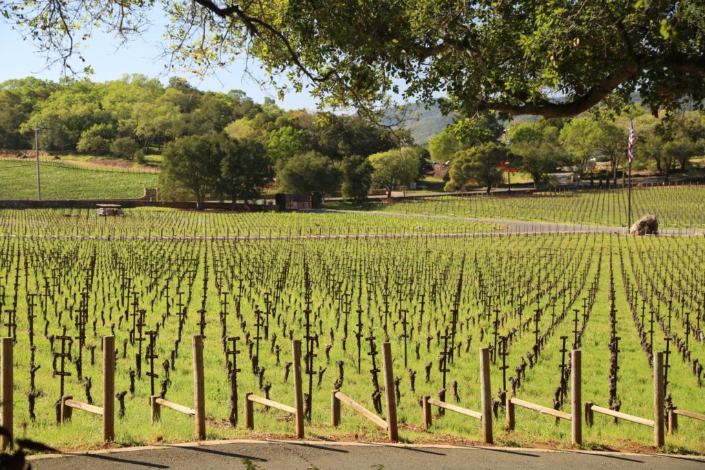 Rudd Winery - The Napa Wine Project