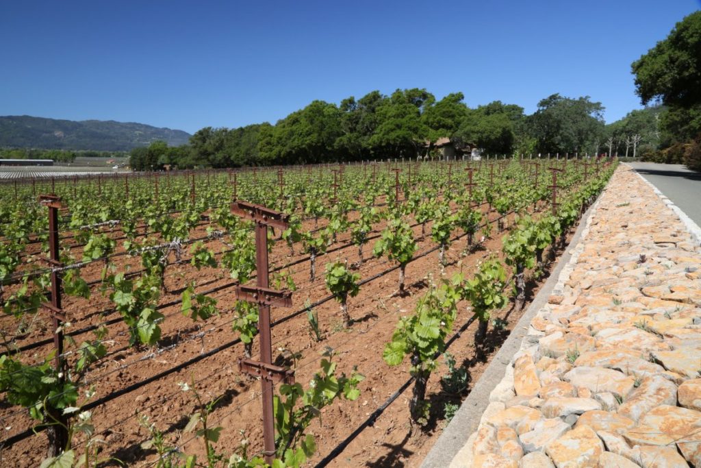 Rudd Winery - The Napa Wine Project