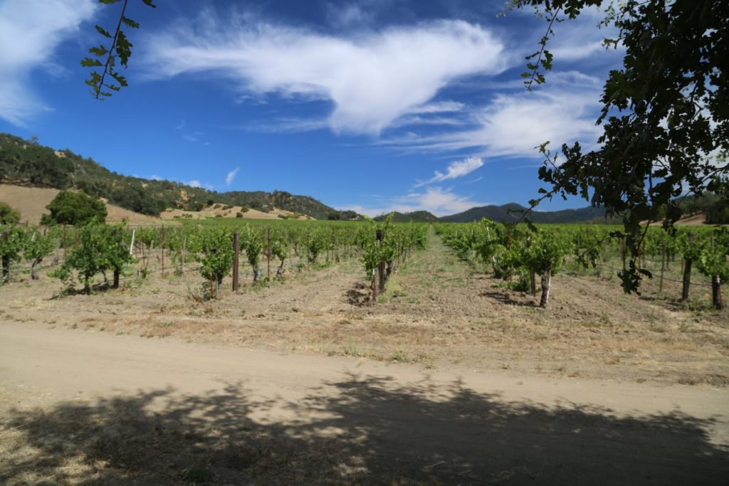 RustRidge Winery - The Napa Wine Project