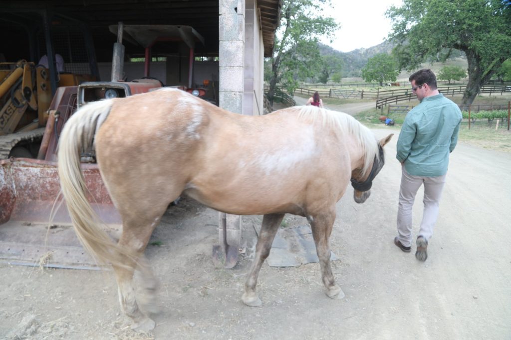 RustRidge Winery - The Napa Wine Project
