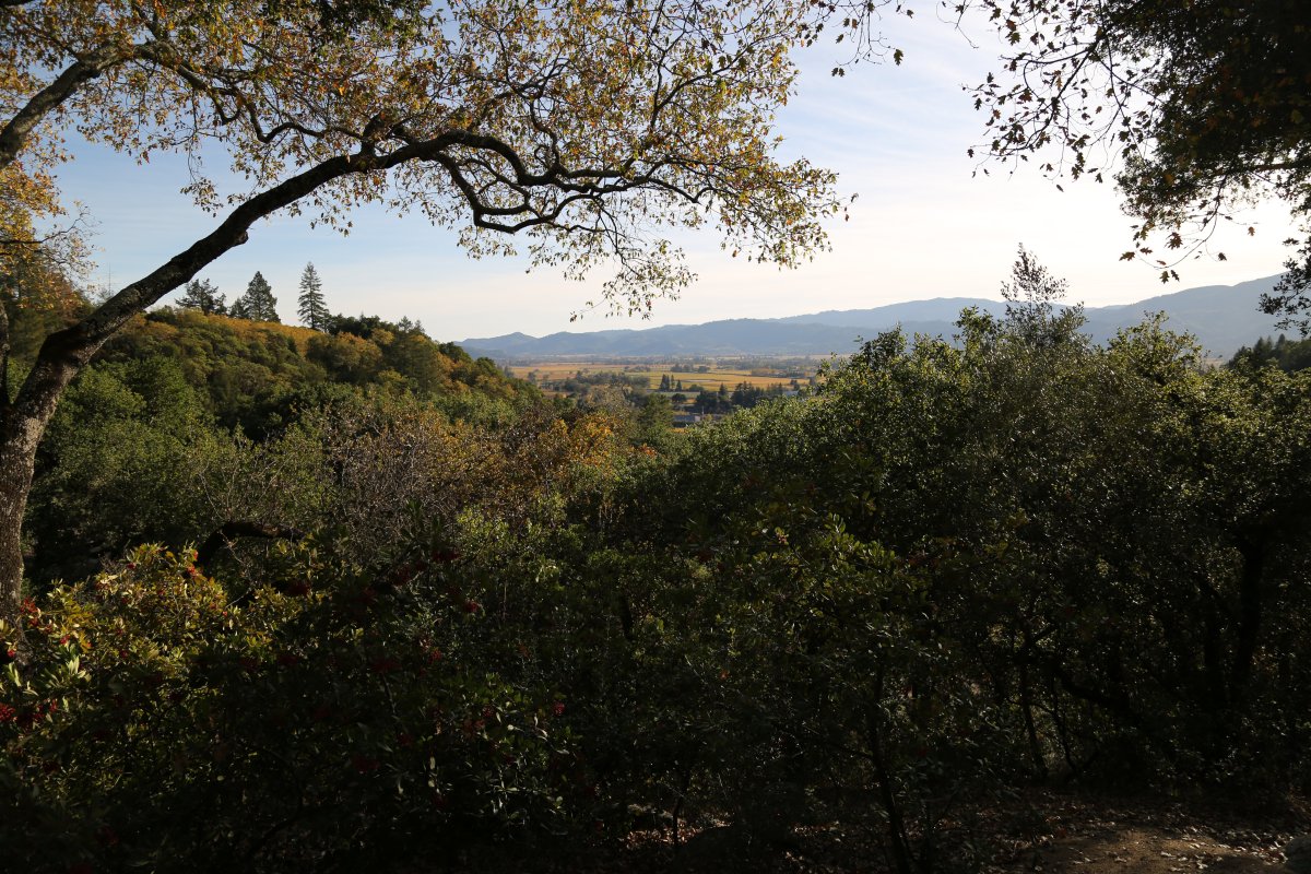 Rutherford Hill Winery - The Napa Wine Project