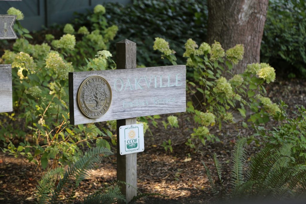 Schlein Vineyard - The Napa Wine Project