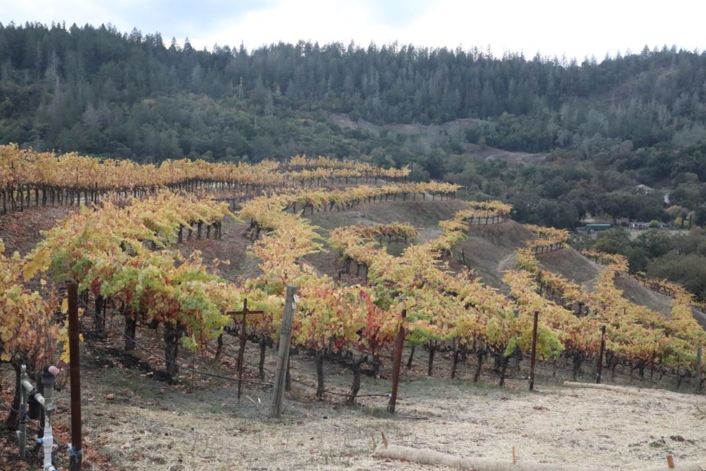 Seavey Vineyard - The Napa Wine Project