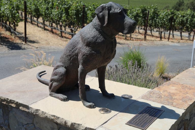 Shafer Vineyards - The Napa Wine Project