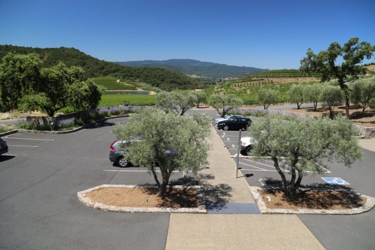 Shafer Vineyards - The Napa Wine Project