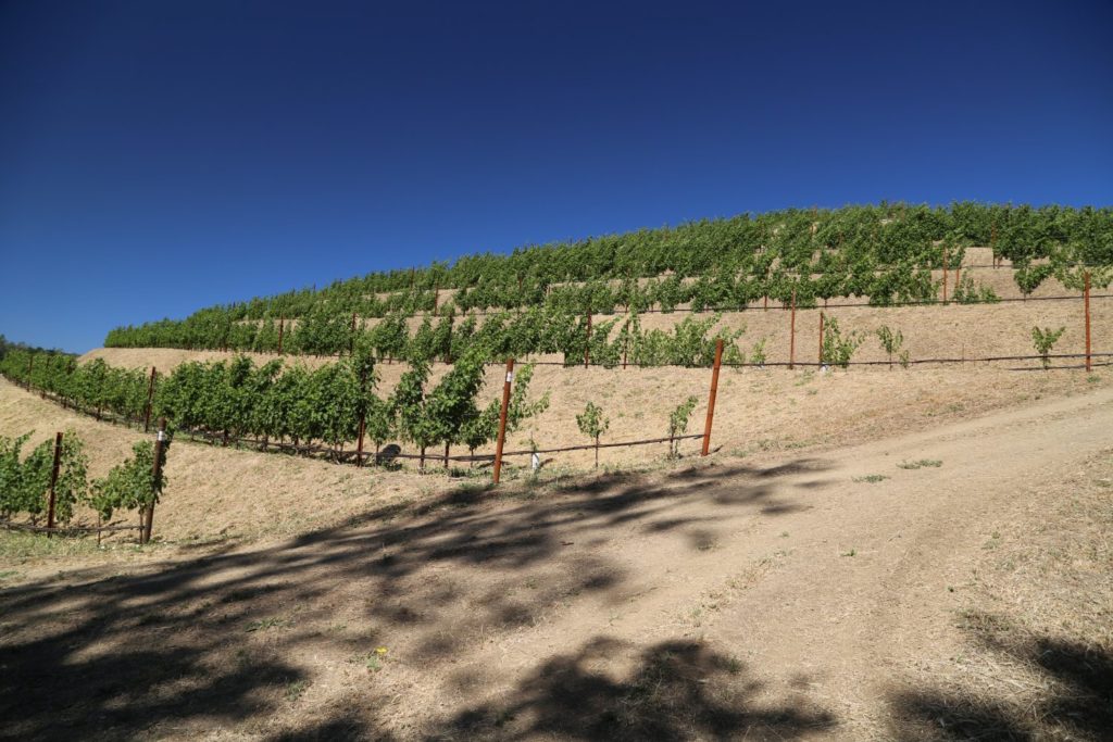 Somerston Estate - The Napa Wine Project