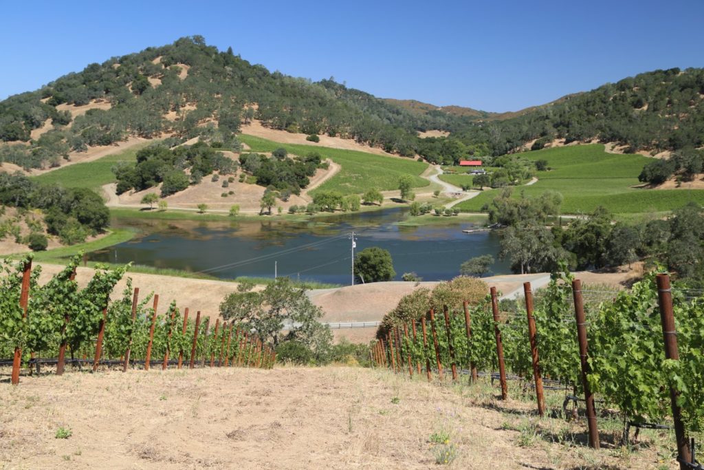 Somerston Estate - The Napa Wine Project