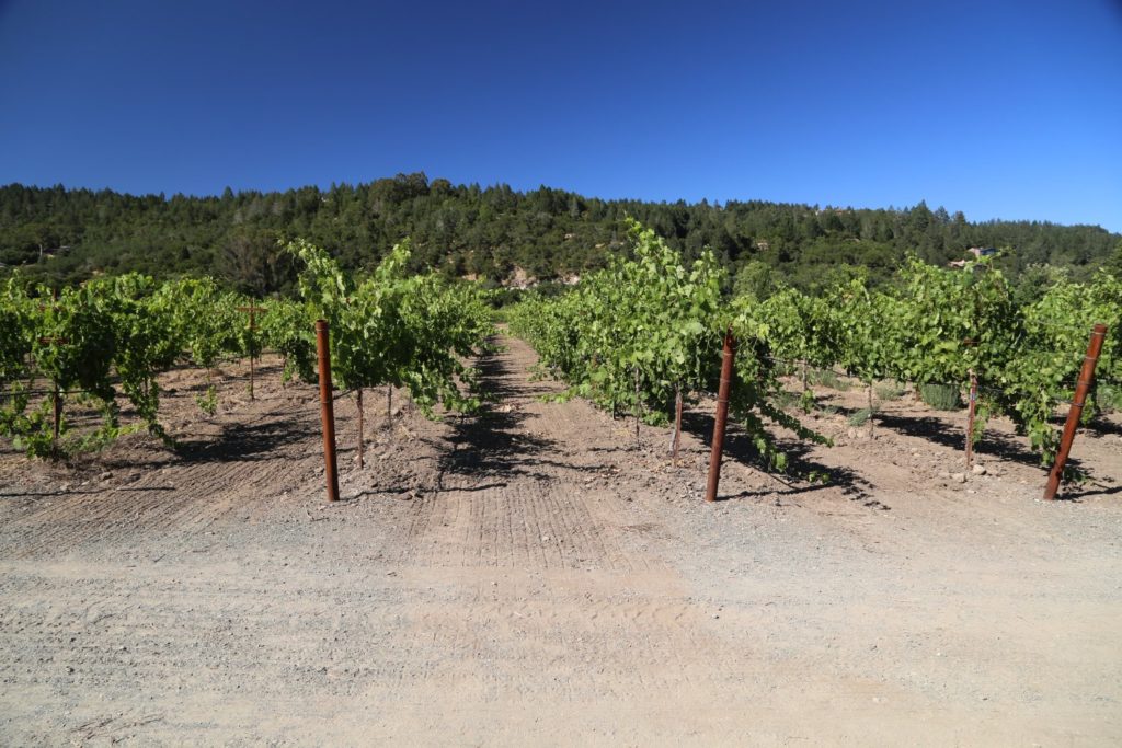 Varozza Vineyards - The Napa Wine Project
