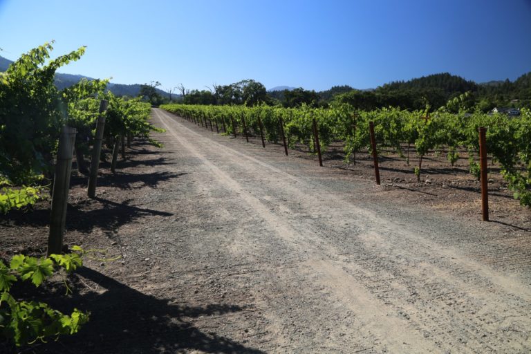 Varozza Vineyards - The Napa Wine Project