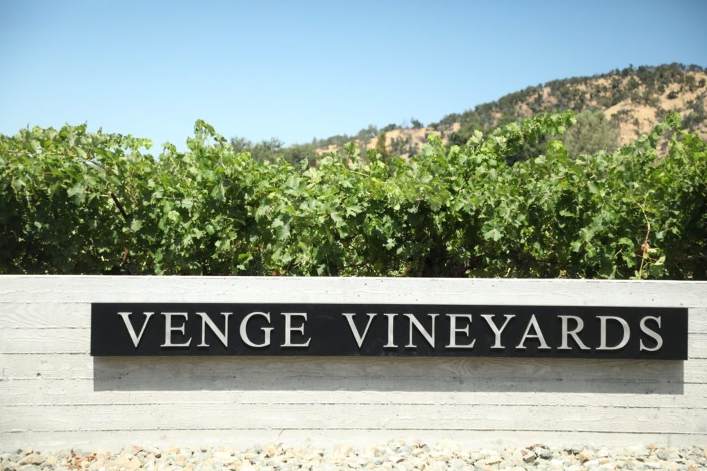 Venge Vineyards - The Napa Wine Project