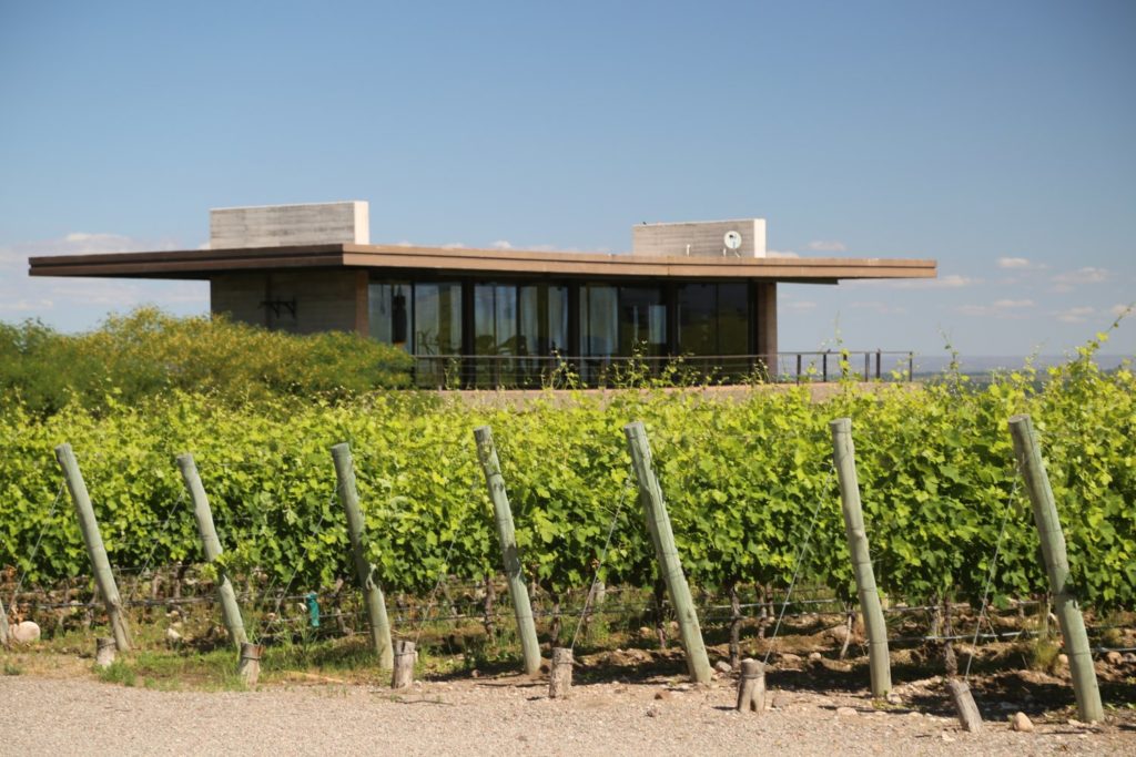 Pavi Wines - The Napa Wine Project