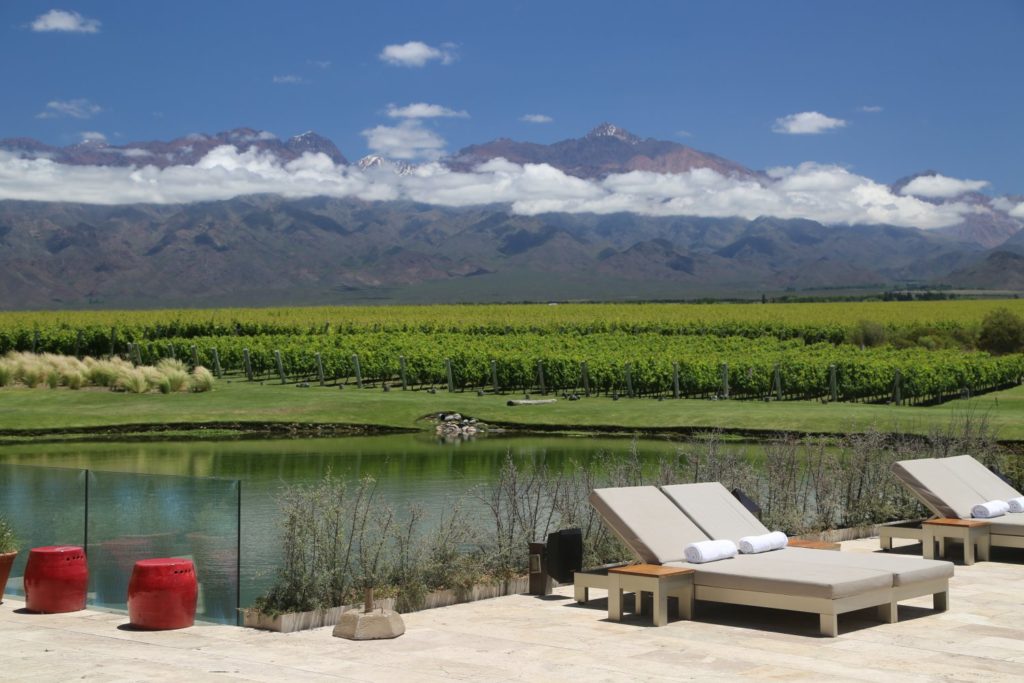 Pavi Wines - The Napa Wine Project