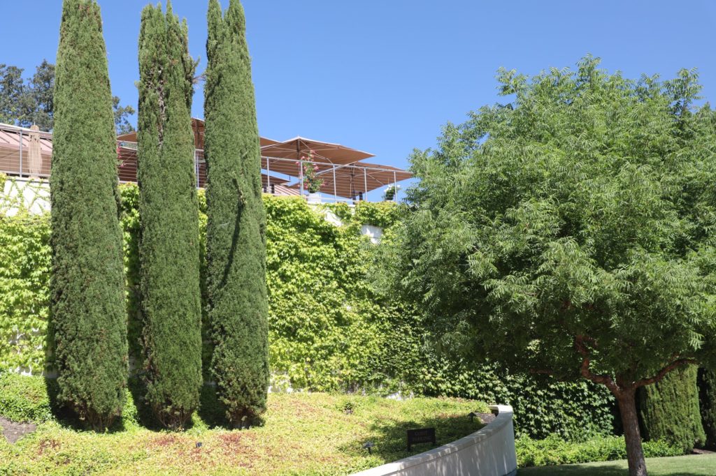 Vineyard 29 - The Napa Wine Project