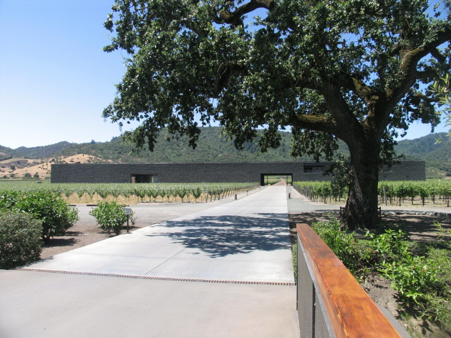 Dominus Estate - The Napa Wine Project