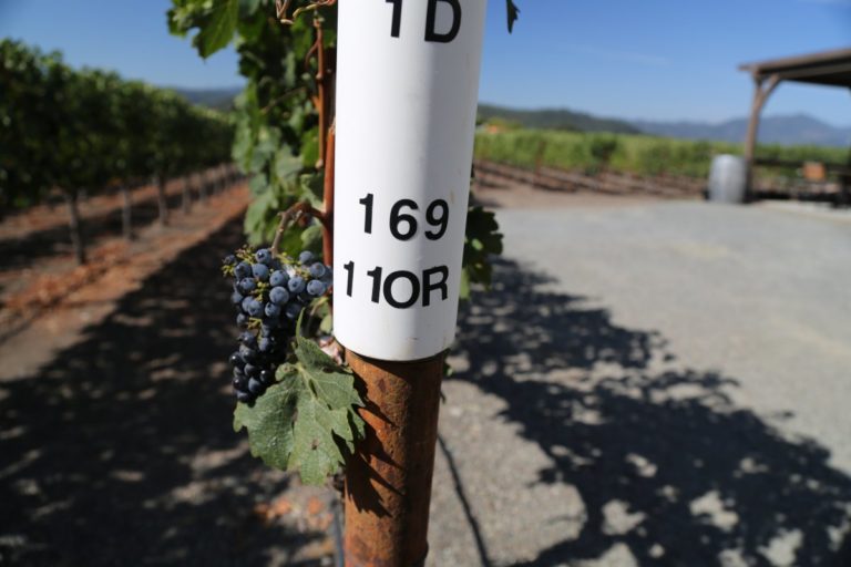 Goosecross Cellars - The Napa Wine Project