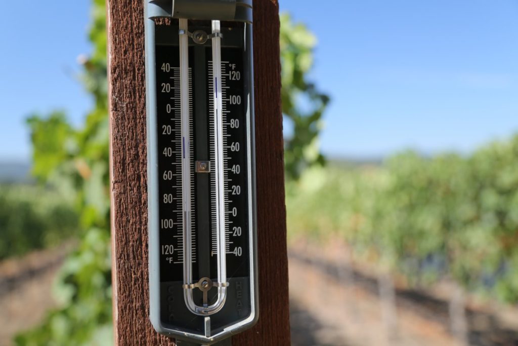 Goosecross Cellars - The Napa Wine Project