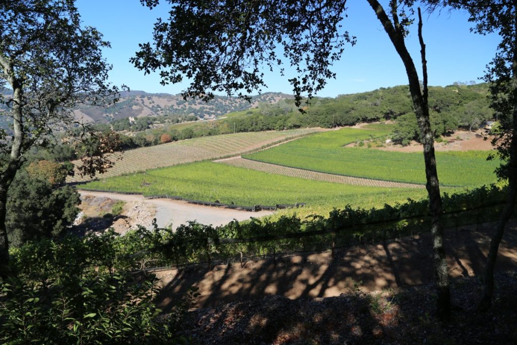 Gandona Estate - The Napa Wine Project