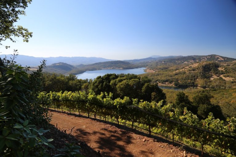 Gandona Estate - The Napa Wine Project