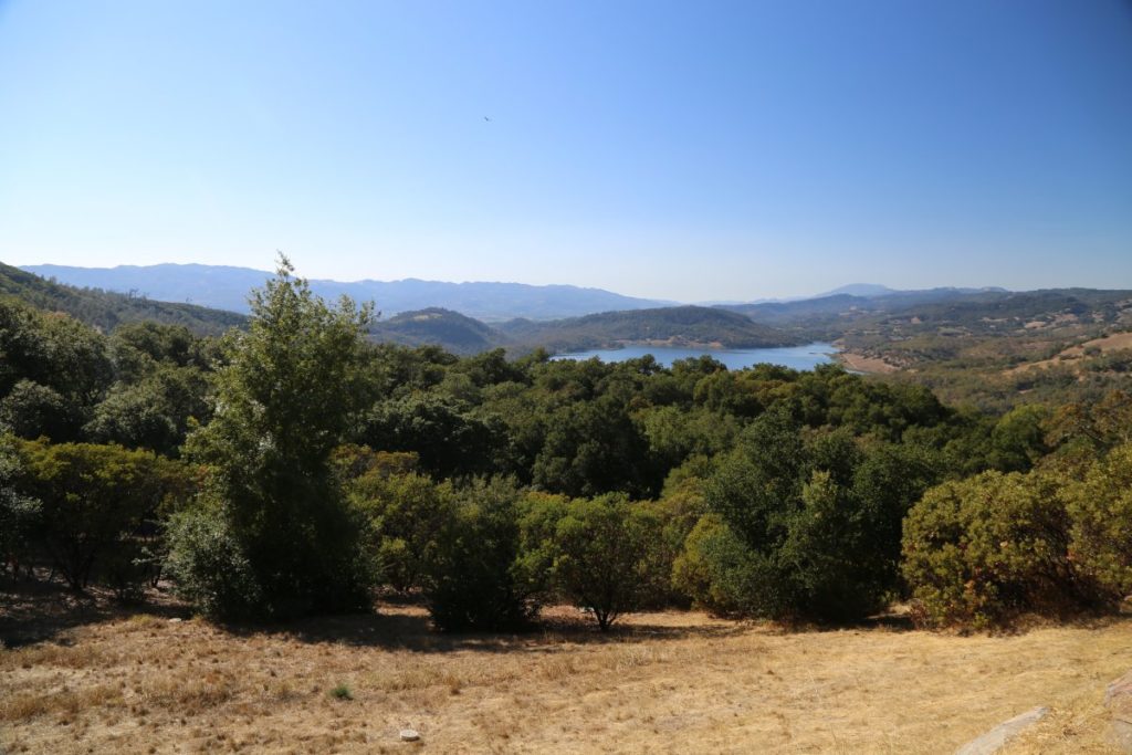 Gandona Estate - The Napa Wine Project