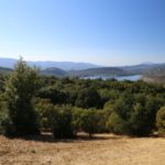 Gandona Estate - The Napa Wine Project