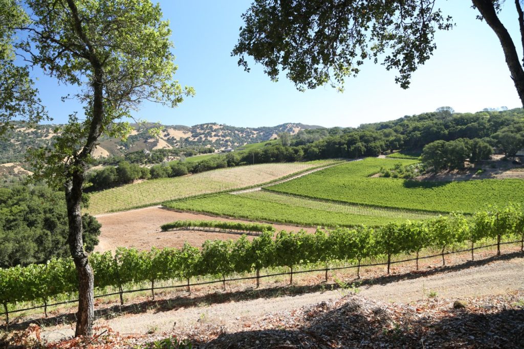 Gandona Estate - The Napa Wine Project