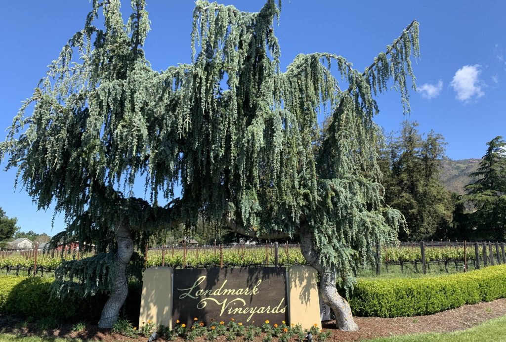 Lewis Cellars - The Napa Wine Project