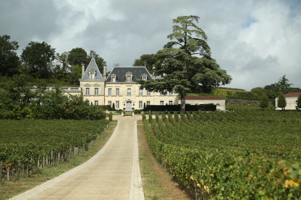 ADAMVS - The Napa Wine Project