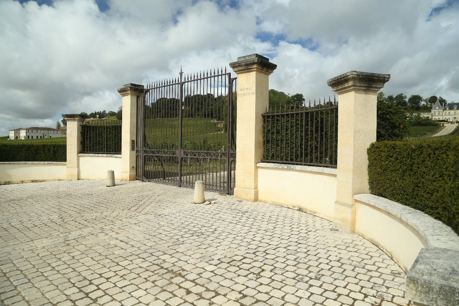 ADAMVS - The Napa Wine Project