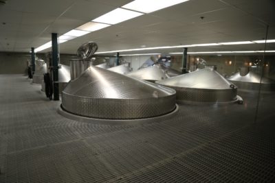 Roots Run Deep Winery - The Napa Wine Project