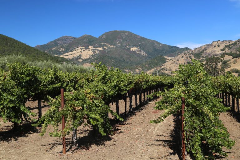 Spire Collection - The Napa Wine Project